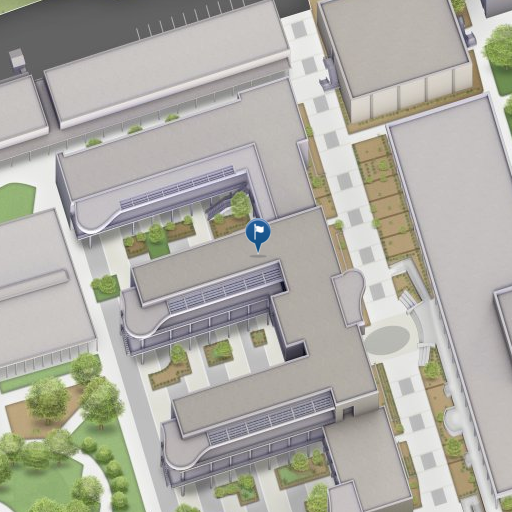 Course | San Diego Mesa College